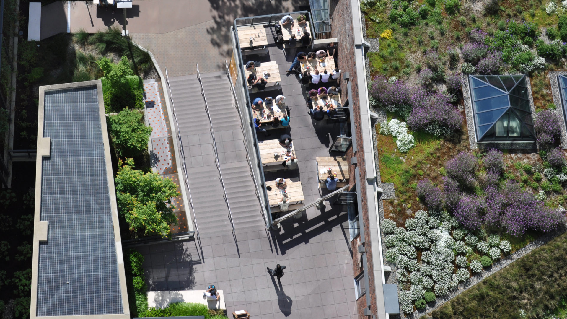 Amazon Headquarters | PLACE