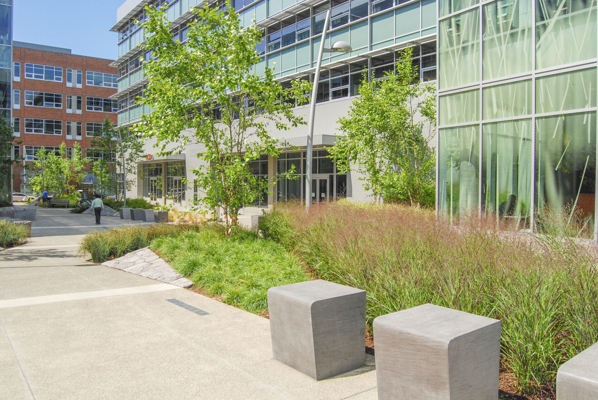 Amazon Headquarters | PLACE