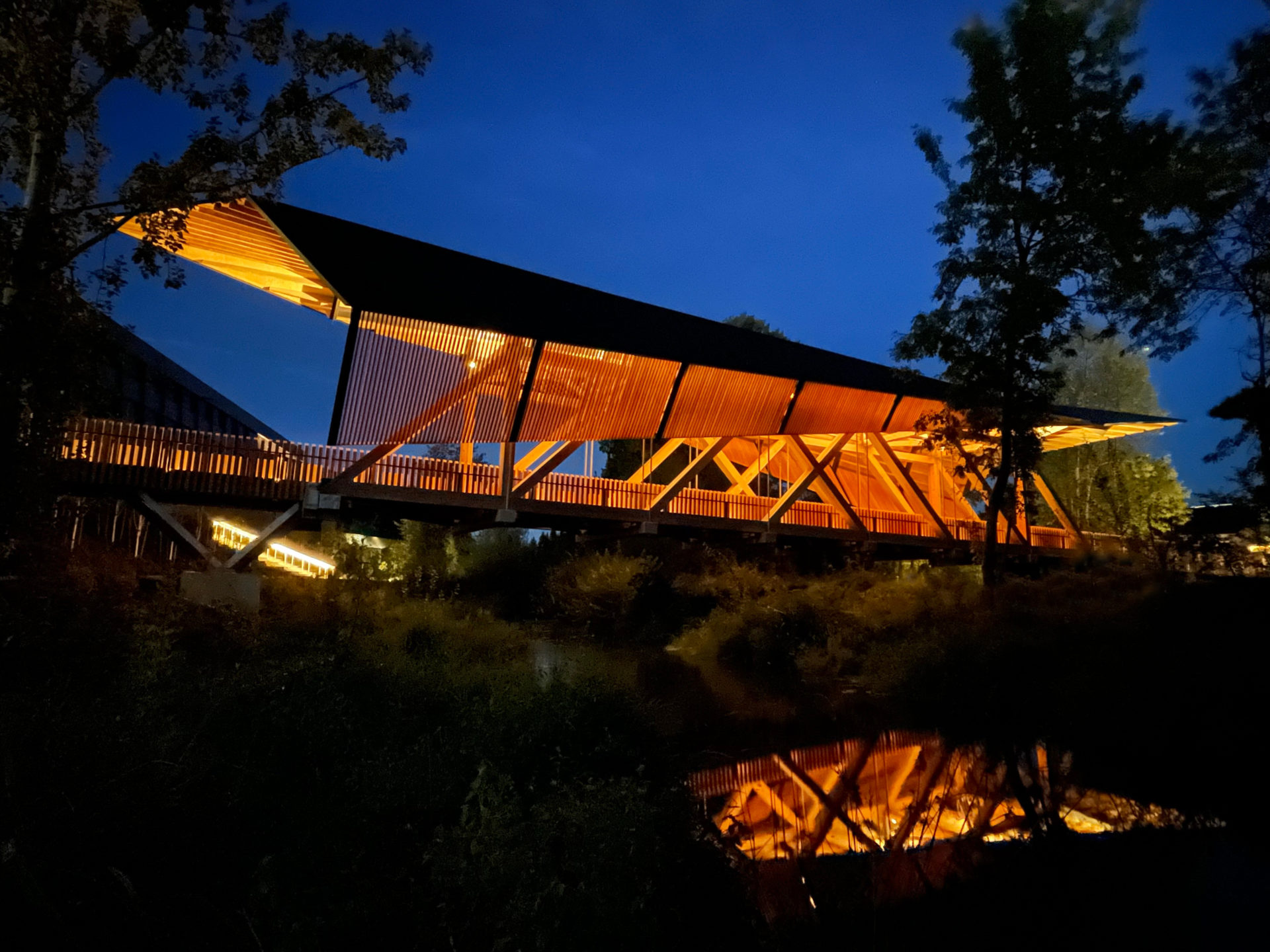 Nike Shoe Dog Bridge | PLACE