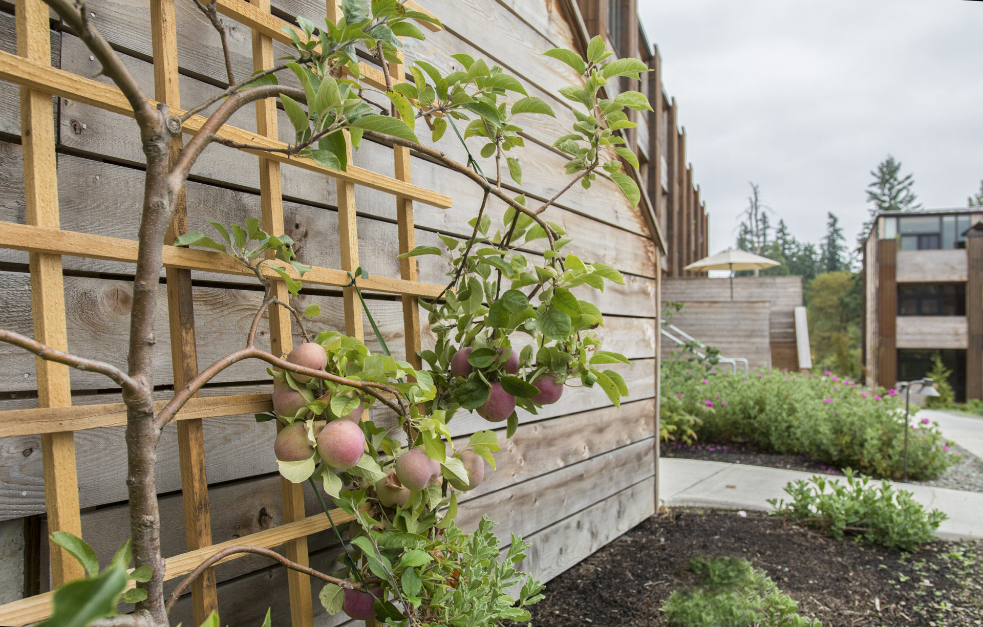 GROW Community | PLACE