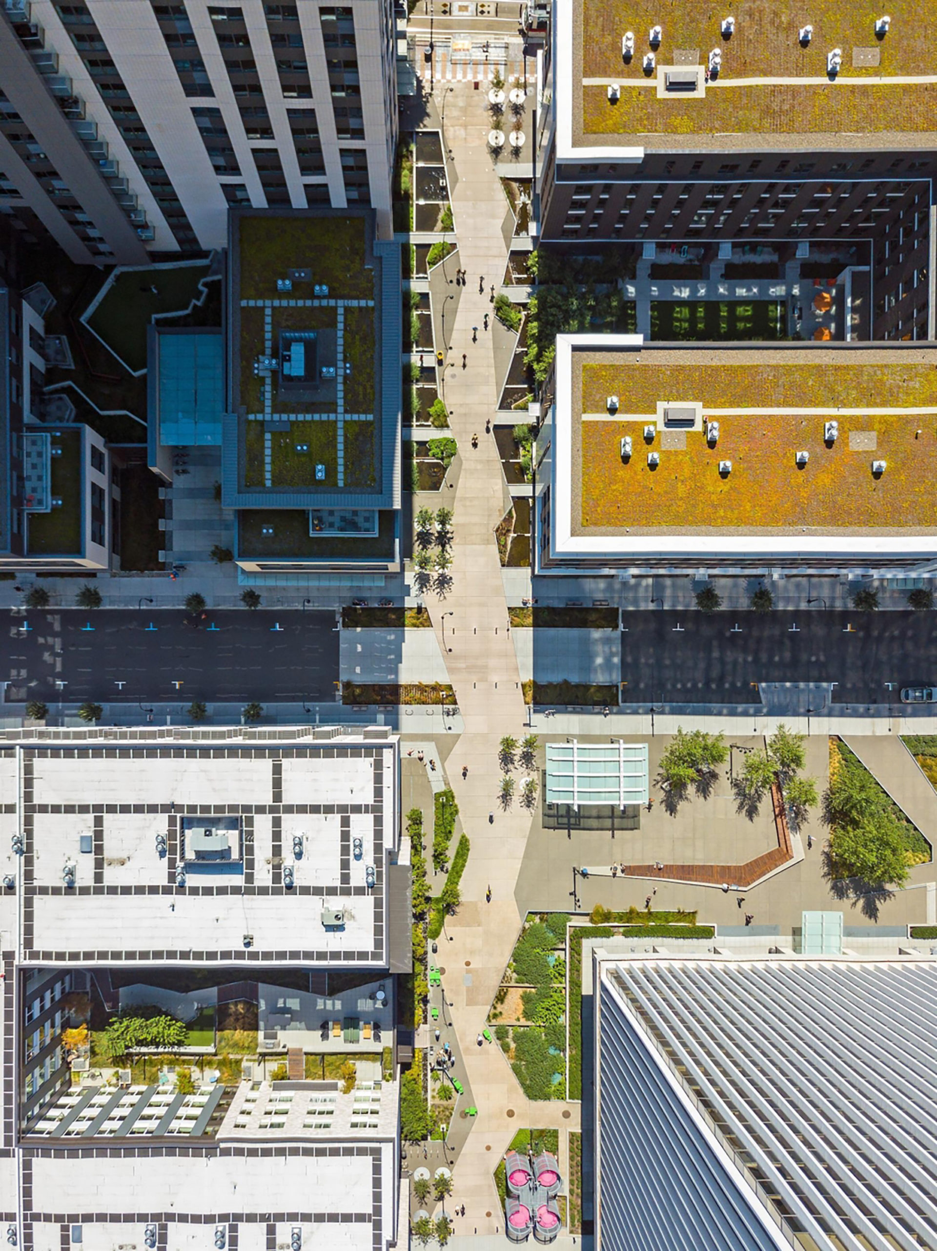 Hassalo on Eighth | PLACE