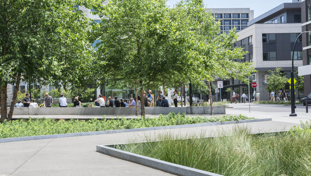 Hassalo on Eighth | PLACE