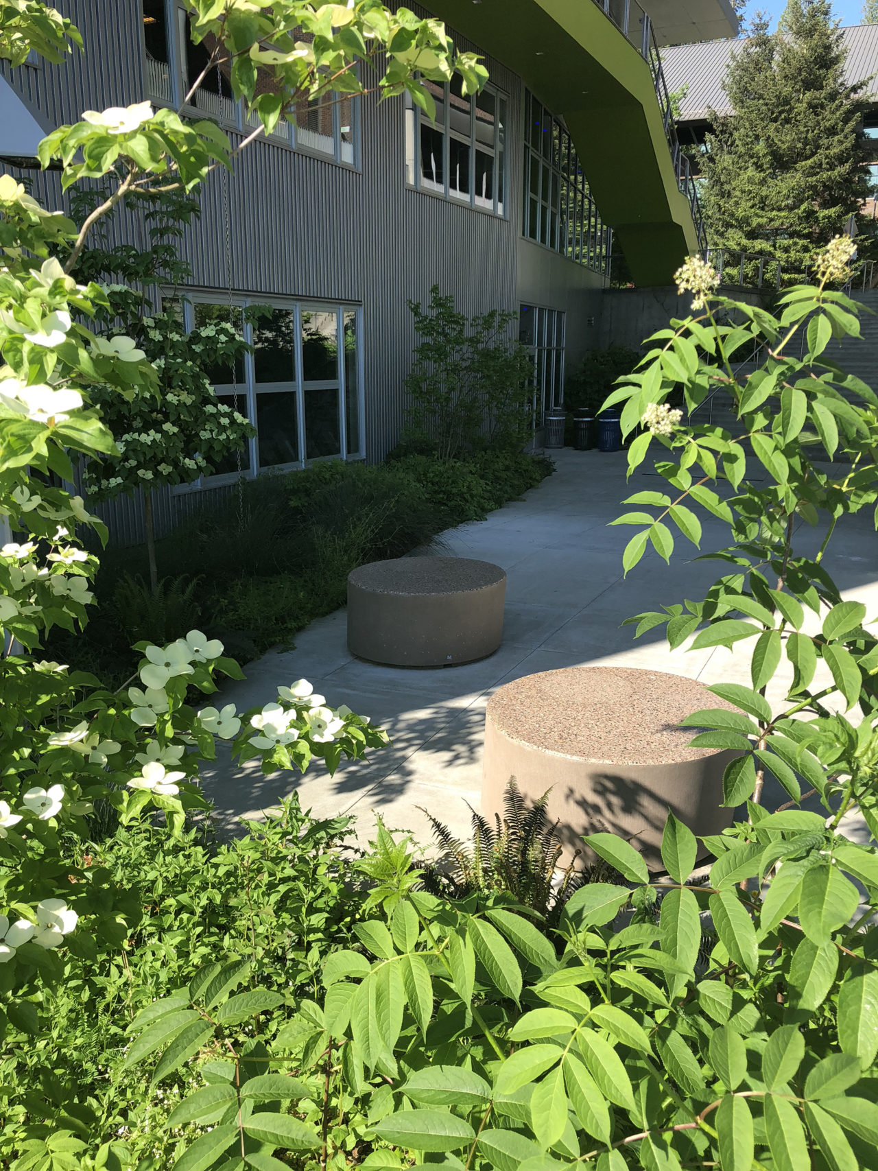 Cascadia College Student Activities & Recreation Center | PLACE