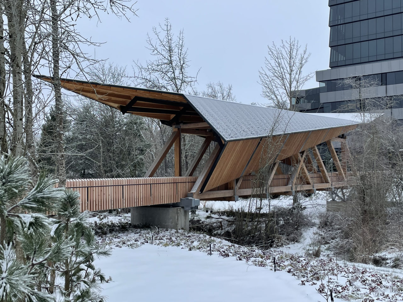 Nike Shoe Dog Bridge | PLACE