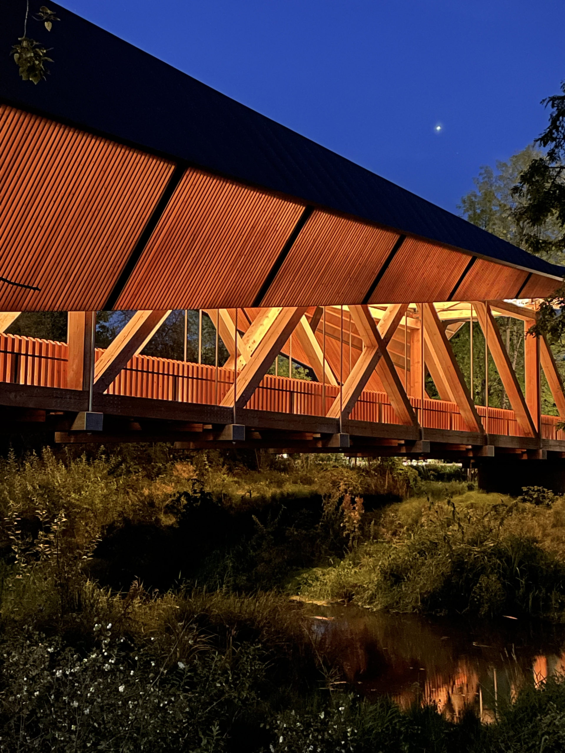 Nike Shoe Dog Bridge | PLACE