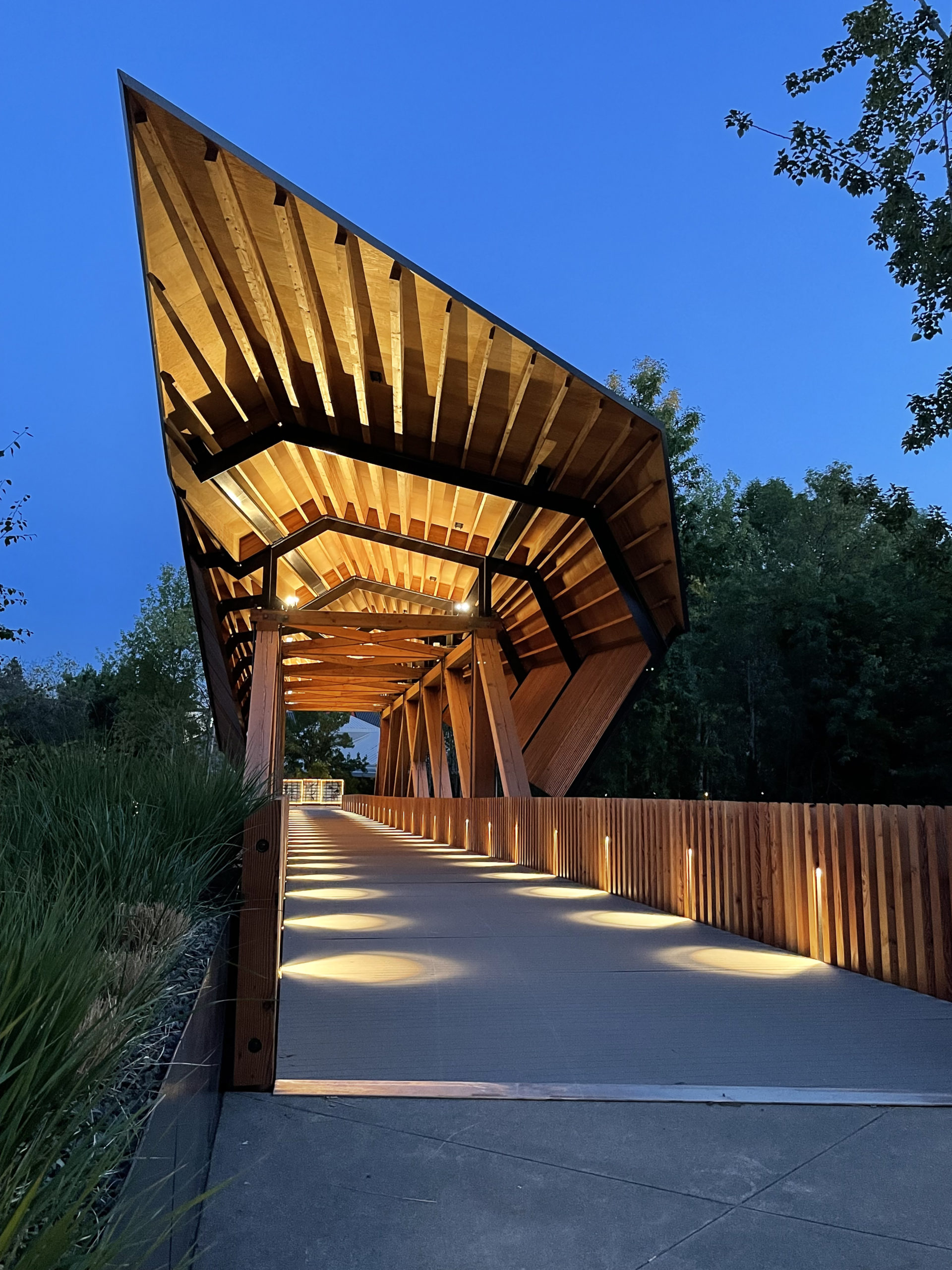 Nike Shoe Dog Bridge | PLACE