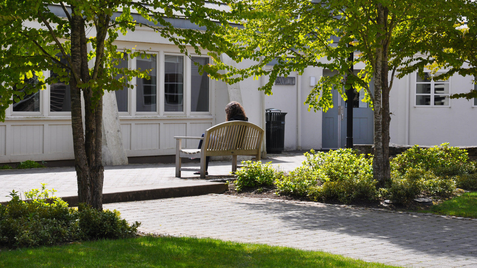 Albany Quadrangle | PLACE