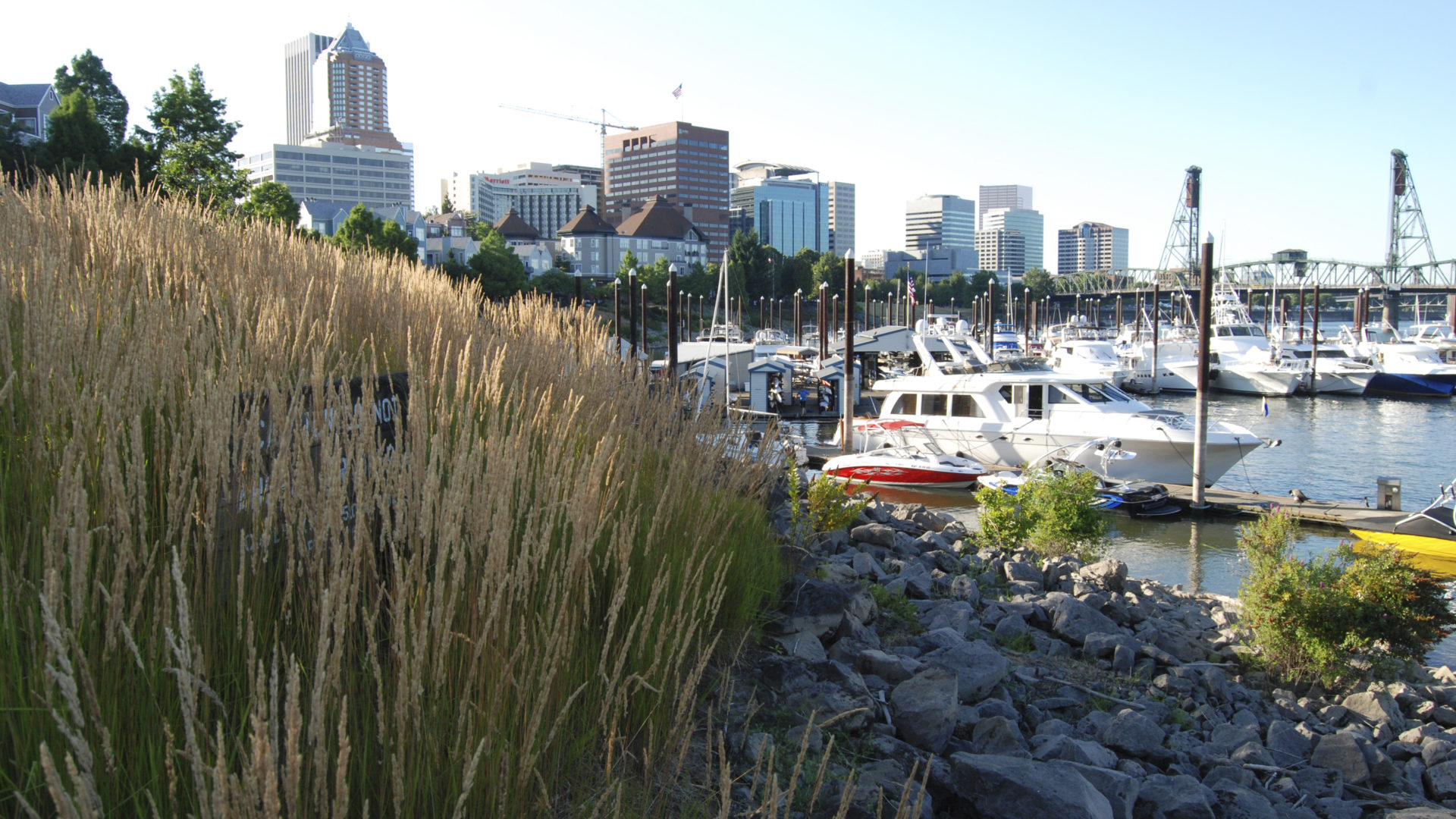 South Waterfront Park | PLACE