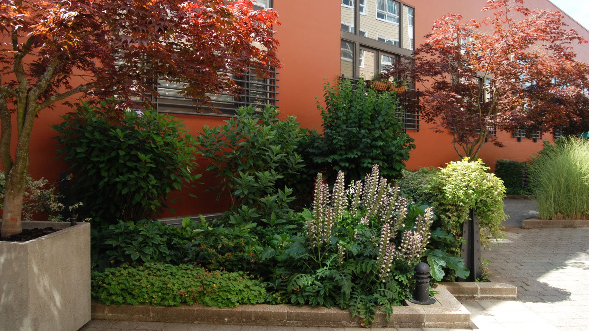 Belmont Dairy | PLACE