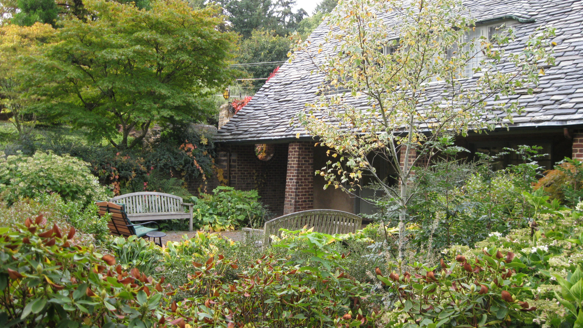 Campus Redevelopment | PLACE