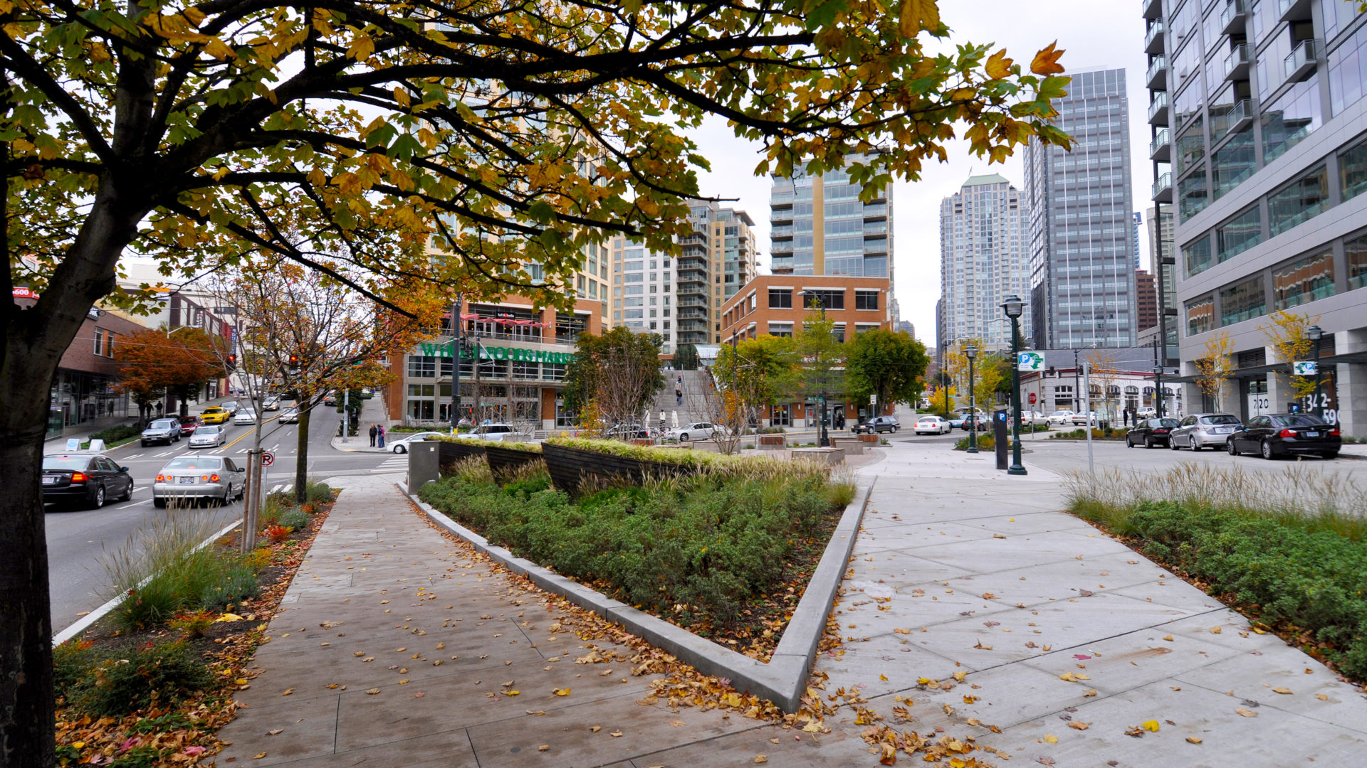 Denny Triangle | PLACE