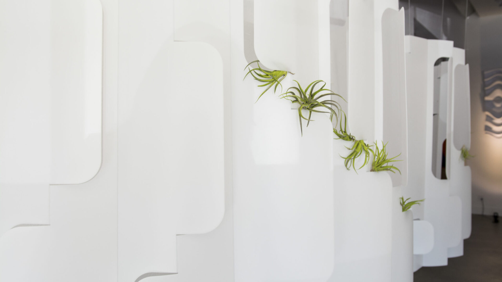 Surface into Form I Nancy Cheng | PLACE