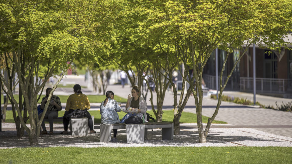 Prairie Line Trail Corridor | PLACE