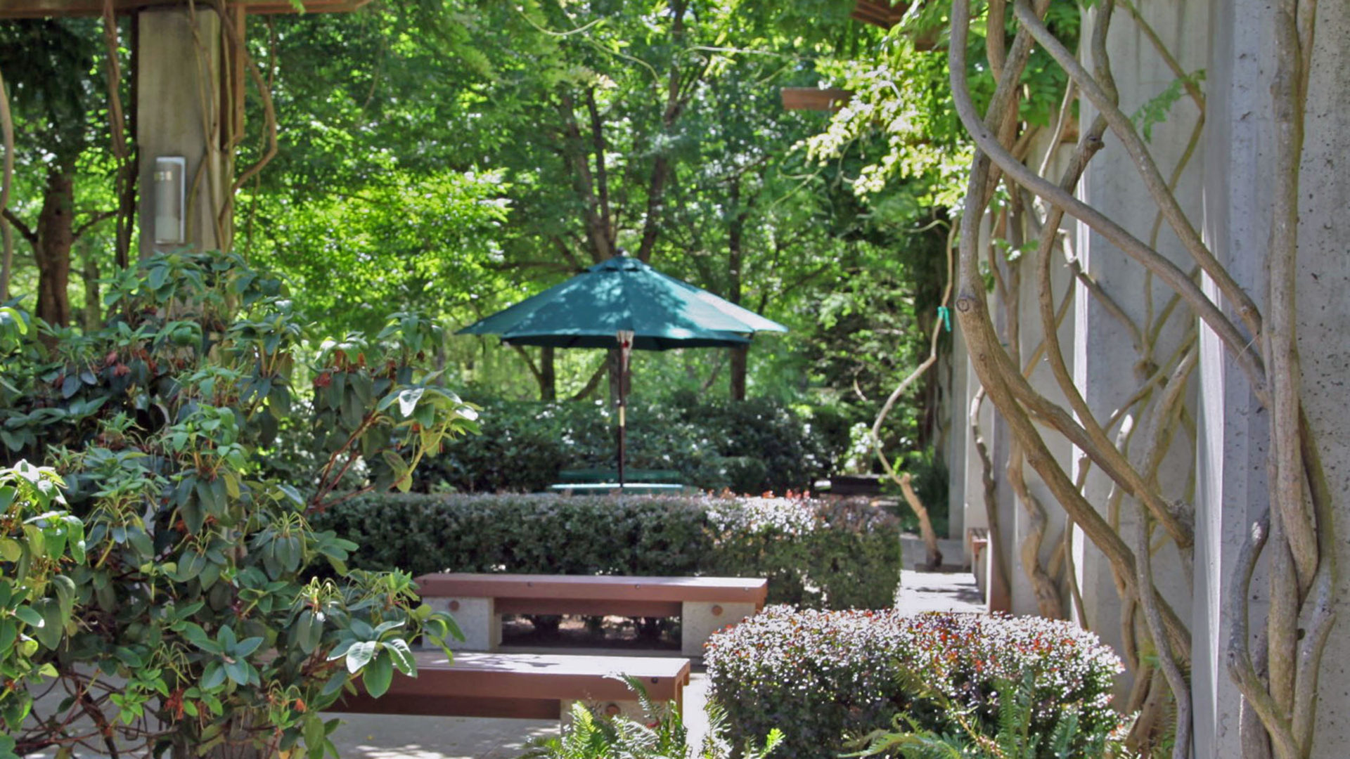 Timberline Software Headquarters | PLACE